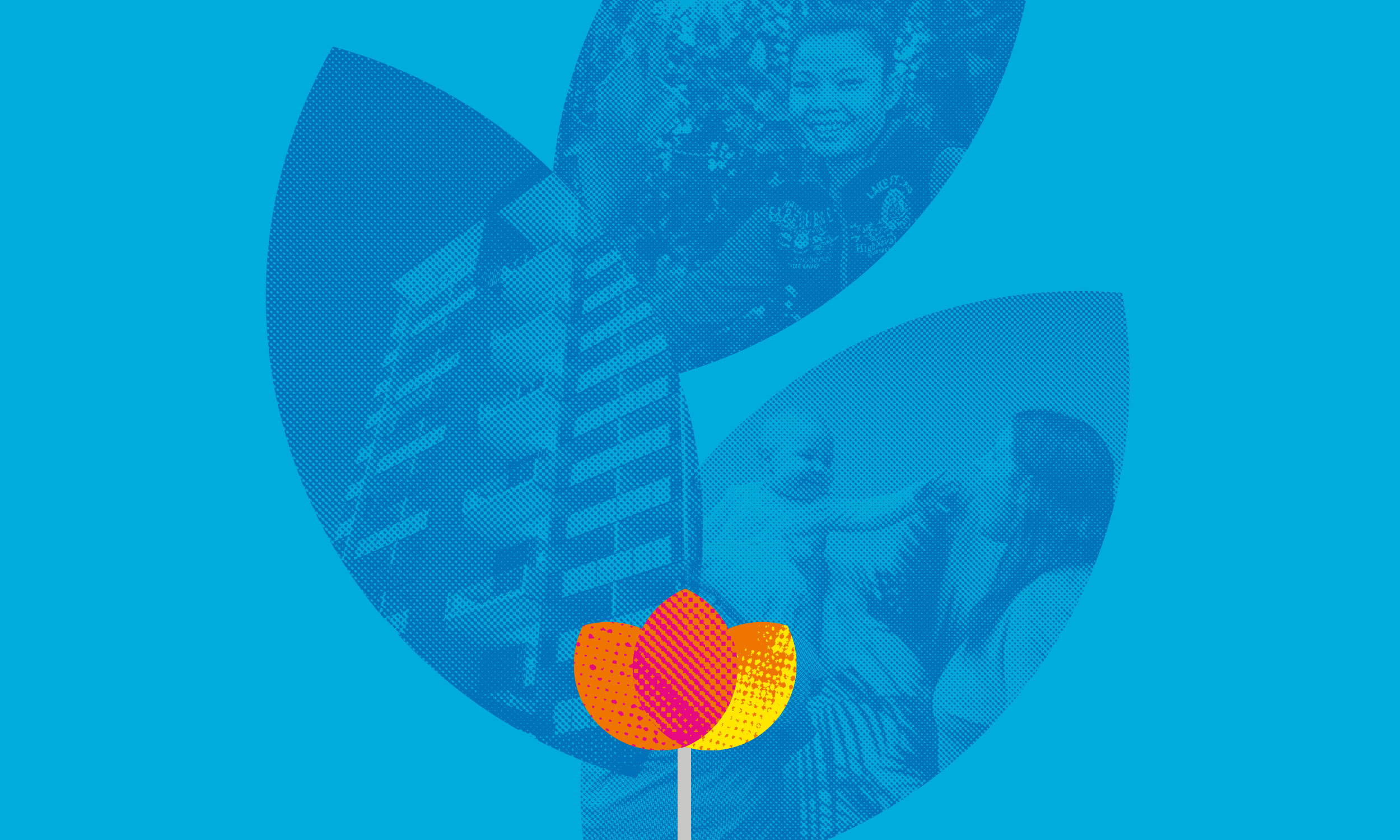 Micah Projects Impact Report 2023-24 | Micah Projects